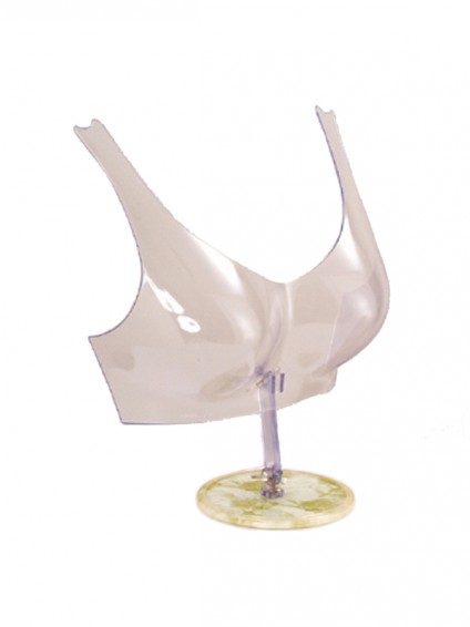 FREE STANDING BRA FORM | AMKO Displays